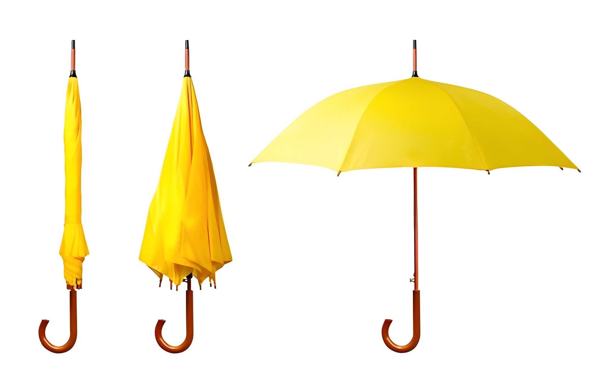 Custom Umbrella | EverLighten
